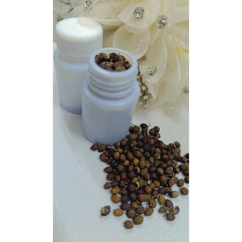 buah melada pahit/buah lada pahit biji kering | Shopee Malaysia