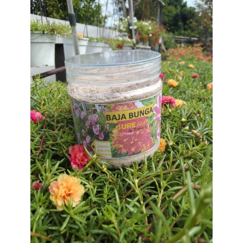 Baja Bunga khas untuk rose jepun | Shopee Malaysia