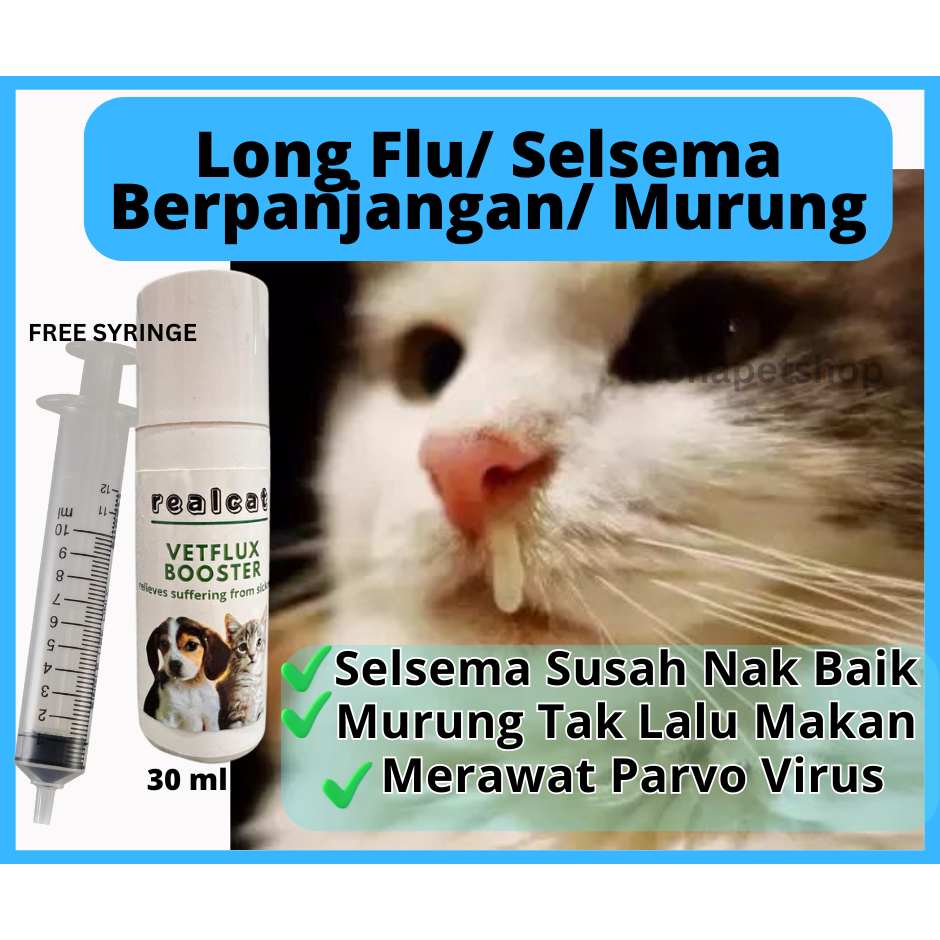 Ubat Selsema Kucing Ubat Demam Kucing Monyok Tak Lalu Makan Sakit Mata ...
