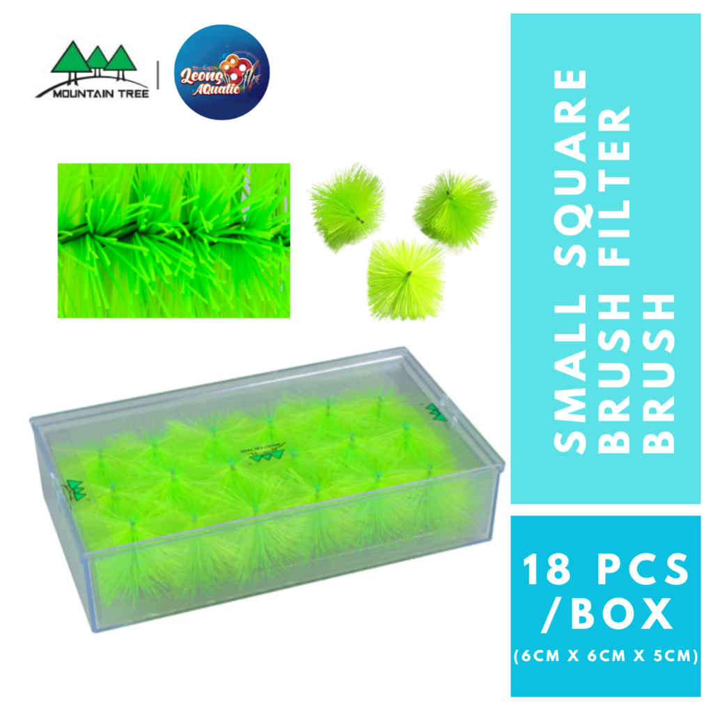 Mountain Tree Small Square Brush Filter Brush For Sump Top Filter ...