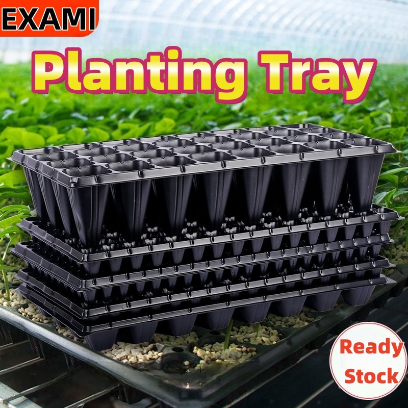Holes Seedling Tray Plastic Nursery Tray 21 50 128 200 Bekas Benih ...