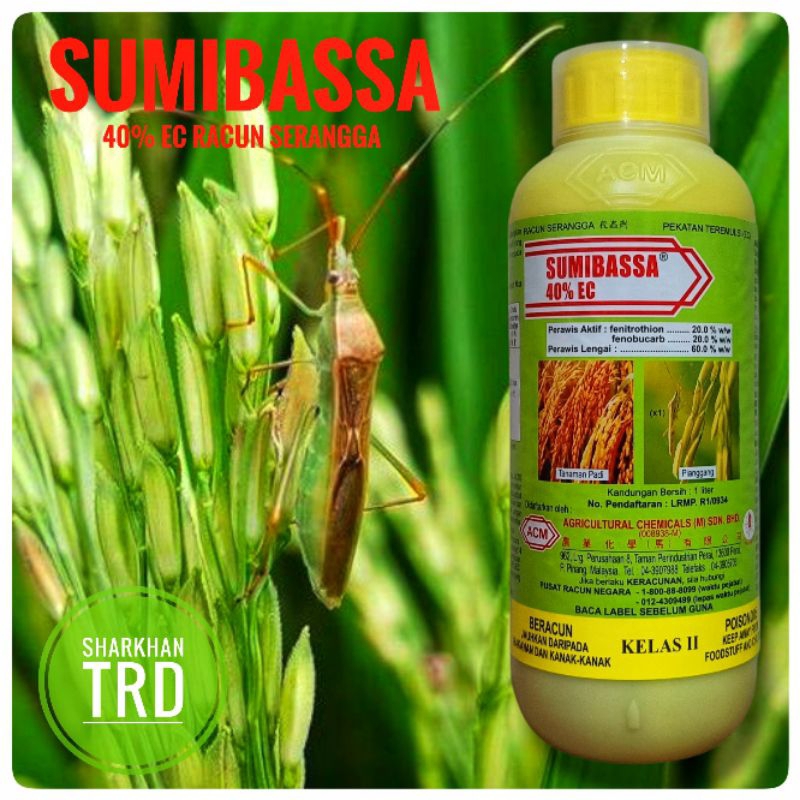 🔥 1 Liter SUMIBASSA 40% EC ACM Racun Serangga Tanaman Padi Fenitrothion 20% Fenobucarb 20% ...