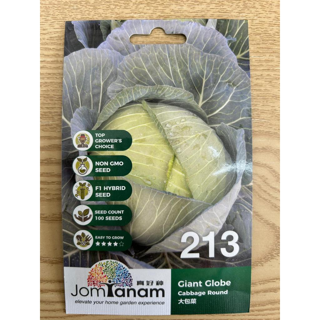 Giant Globe ( cabbage round ) - 100 biji benih | Shopee Malaysia
