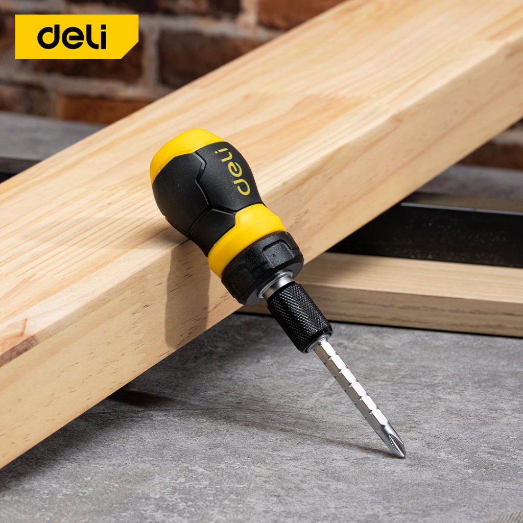 DELI 2 in 1 Ratchet Screwdriver with Bi-Material Handle (SL6 / PH2 ...
