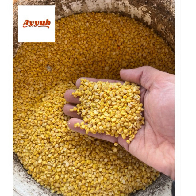 BIJI KACANG DHAL. KUAH DHAL. 100 GRAM KUAH KARI DHAL. | Shopee Malaysia