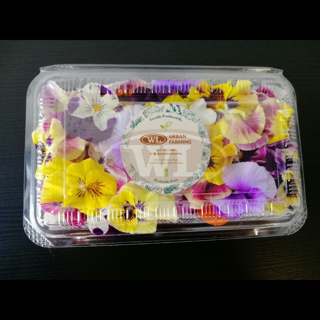 Fresh Edible Flowers : Viola ± 18 grams [Cake & Plating Deco | Dessert ...
