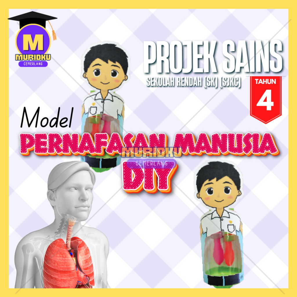 Model Pernafasan Manusia DIY - BAHAN PEMBELAJARAN PROJEK SAINS TAHUN 4 SEKOLAH RENDAH (SK) (SJKC ...