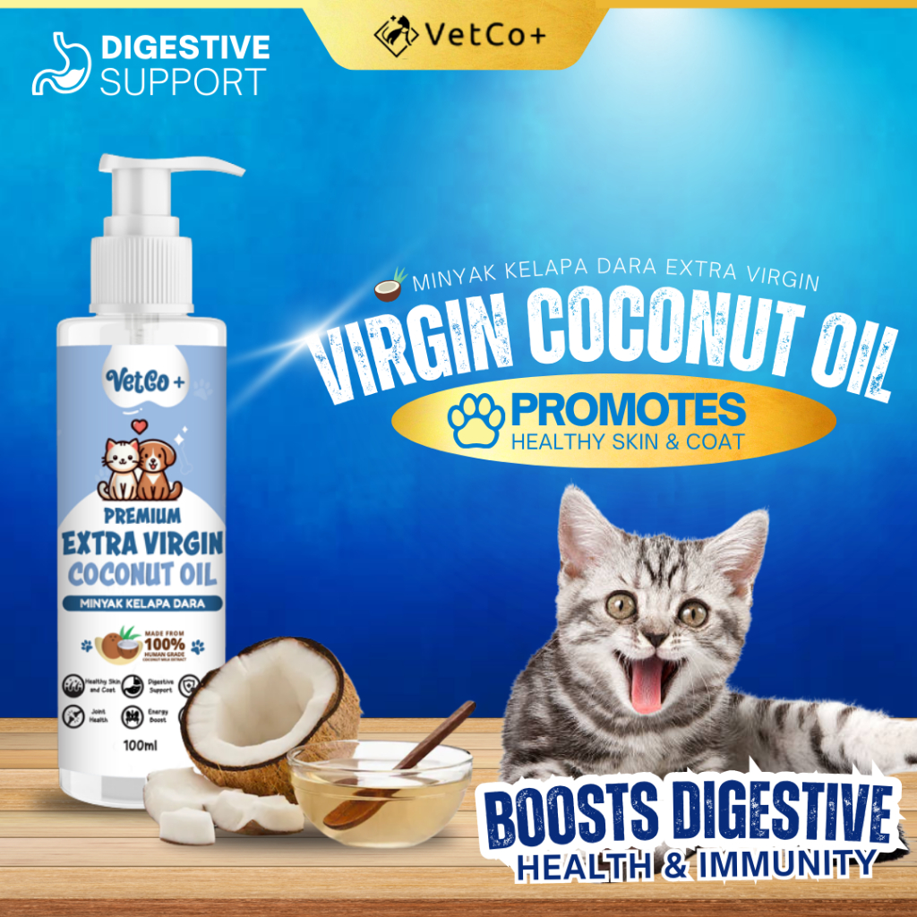 VetCo Virgin Coconut Oil for Cat and Dog Minyak Kelapa Dara Kucing VCO ...