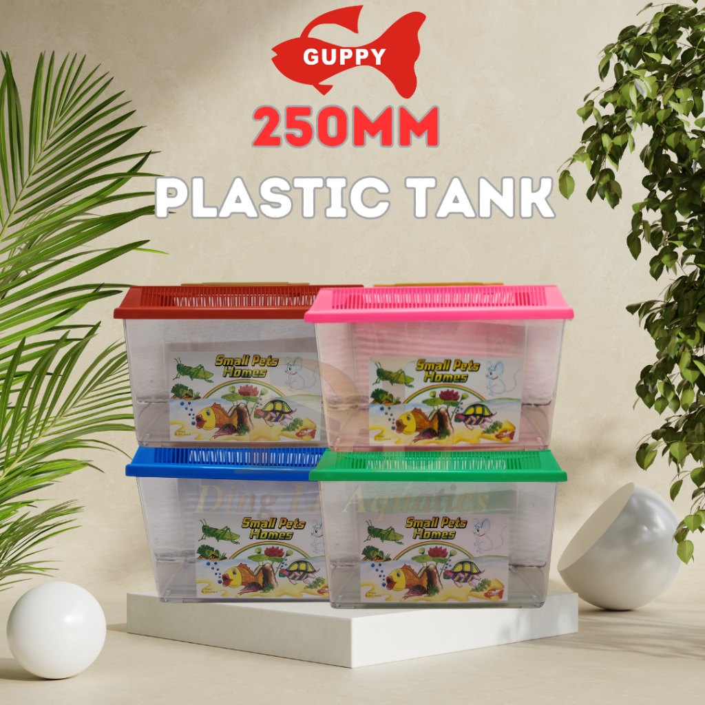 Guppy Plastic Fish Tank, Aquarium - 250mm - Aquarium, Akuarium, 鱼缸 | Shopee Malaysia