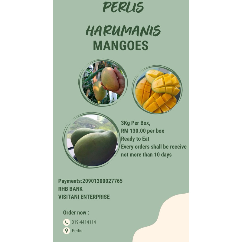 HARUMANIS MANGOES MANGGA HARUMANIS. ORIGINAL DARI PERLIS. | Shopee Malaysia