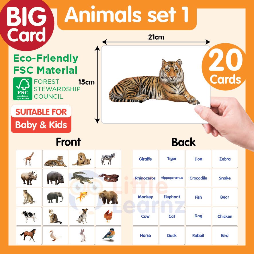 Big Flash Card (Animals set 1) 20 Cards 15x21cm Early Development ABC ...