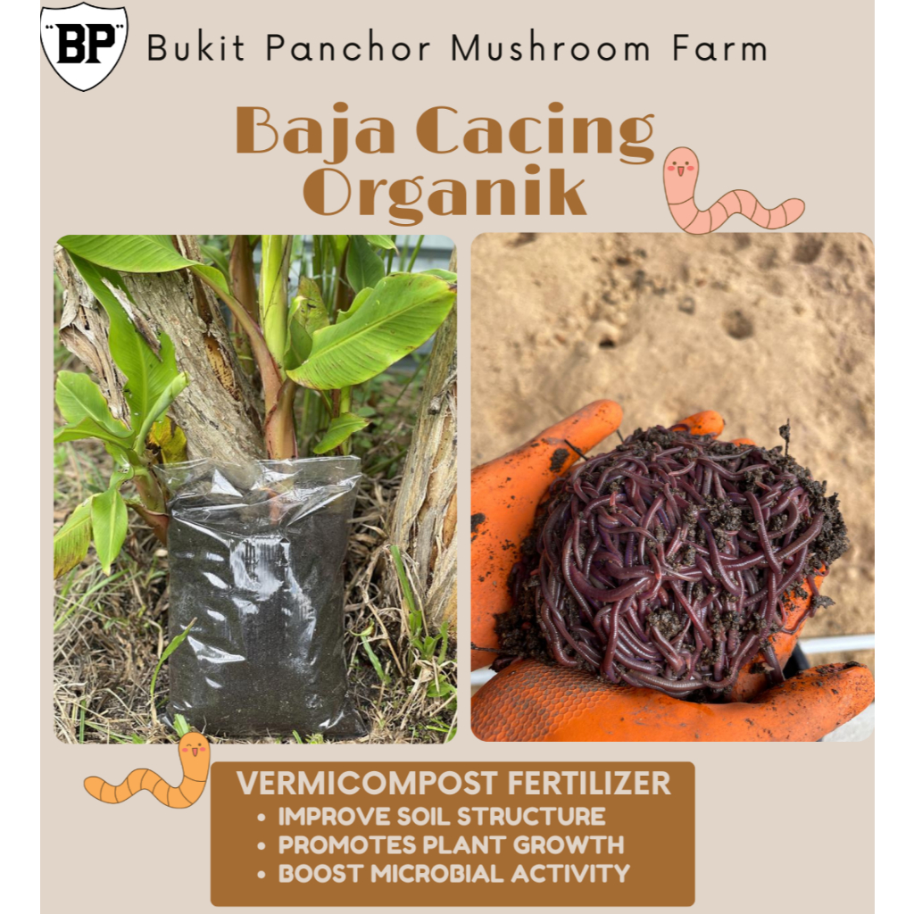 6Kg - Baja Cacing Organik (Vermicompost Fertilizer) | Shopee Malaysia