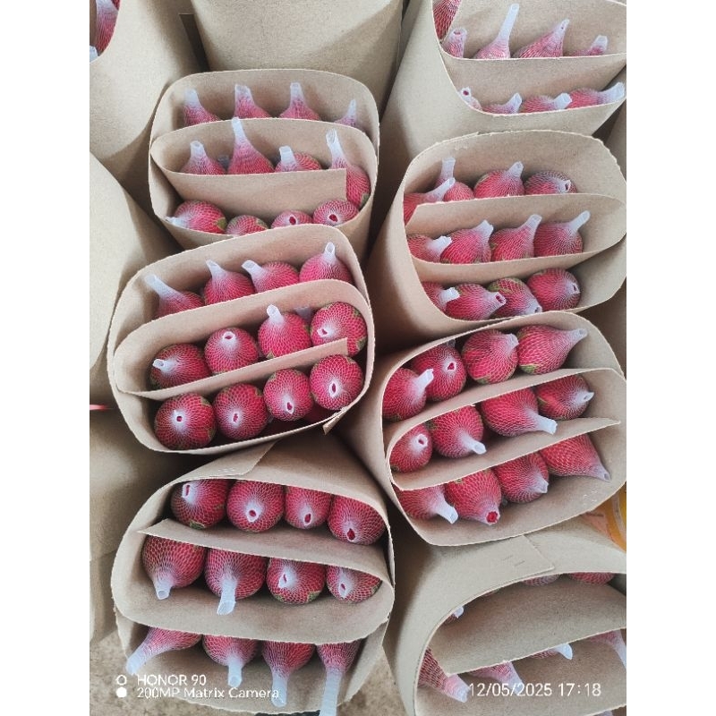 LB Cameron Highlands Fresh Cut Roses from Farm (20 Stalks). Bunga rose ...