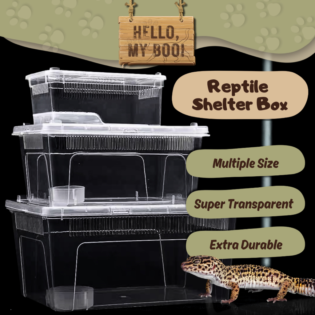 Reptile Breeding Box | Free Bowl | Plastic Herp Box | Gecko Box ...