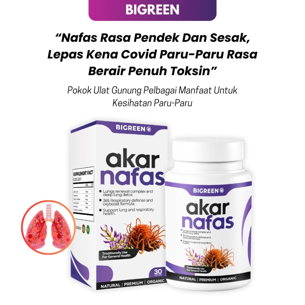 Akar Nafas - Sesak Nafas, Batuk Berkahak, Penyakit Asma, Menyokong ...