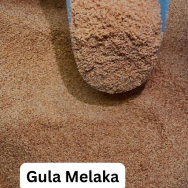 [HALAL] Gula Melaka Kak Liah Original dari Melaka ｜Coconut Palm Sugar ...