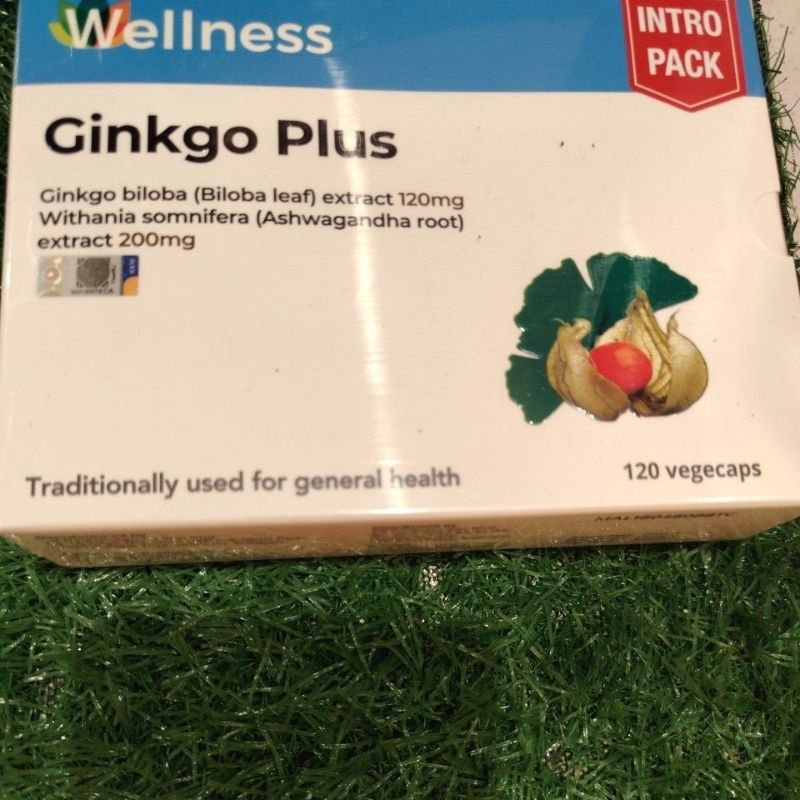 WELLNESS GINGKO PLUS 120s (EXPIRY 2028) | Shopee Malaysia
