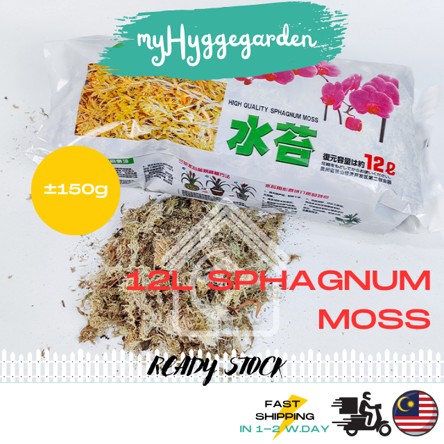 [12L] High Quality Sphagnum Moss Orchid Bonsai Terrariums Carnivorous ...