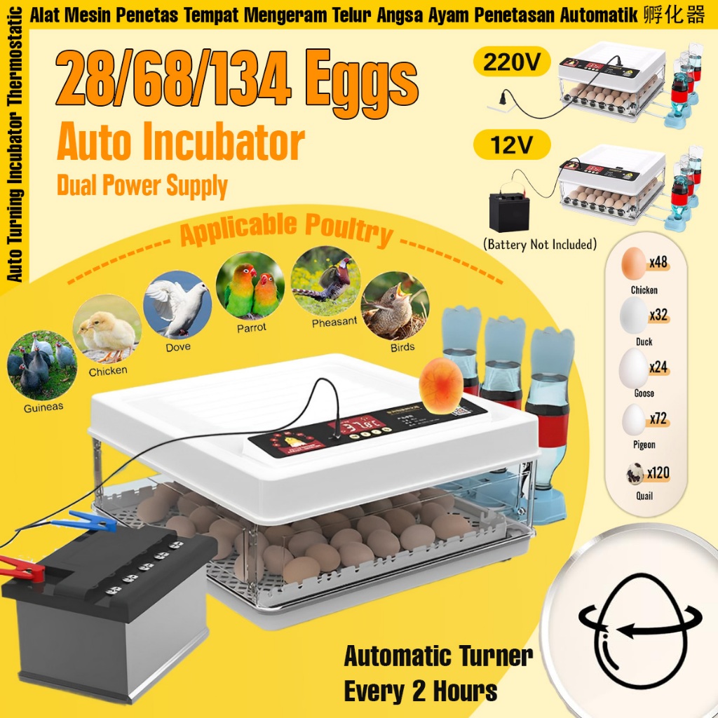 Incubator Automatic Brooder Farm Chick Hatchery Machine Digital 24 Egg ...