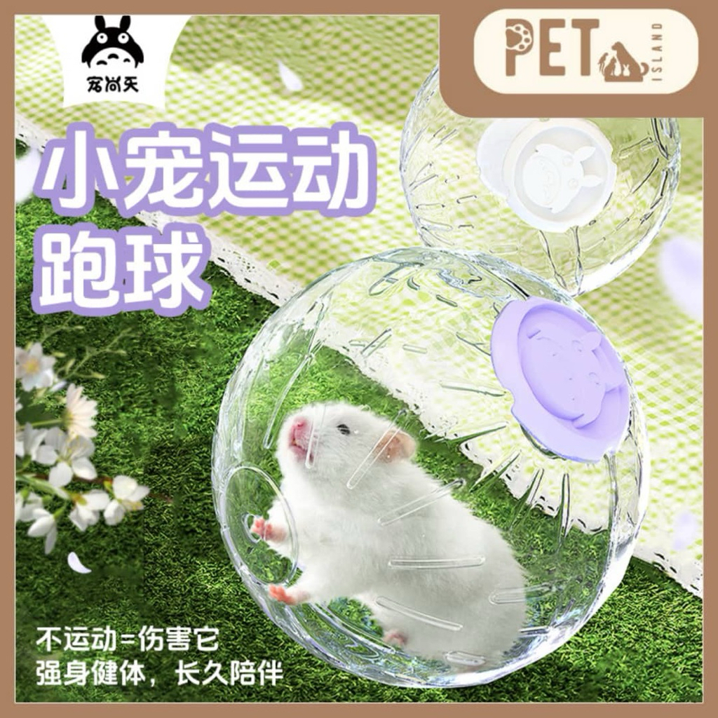 Hamster Transparent Exercise Rolling Crystal Running Ball 12.5cm / 15cm ...