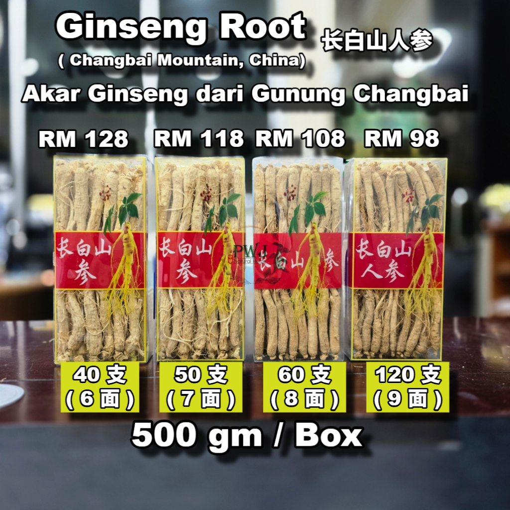Akar Ginseng (Gunung Changbai) Ginseng Root (Changbai Mountain) 长白山人参 ...