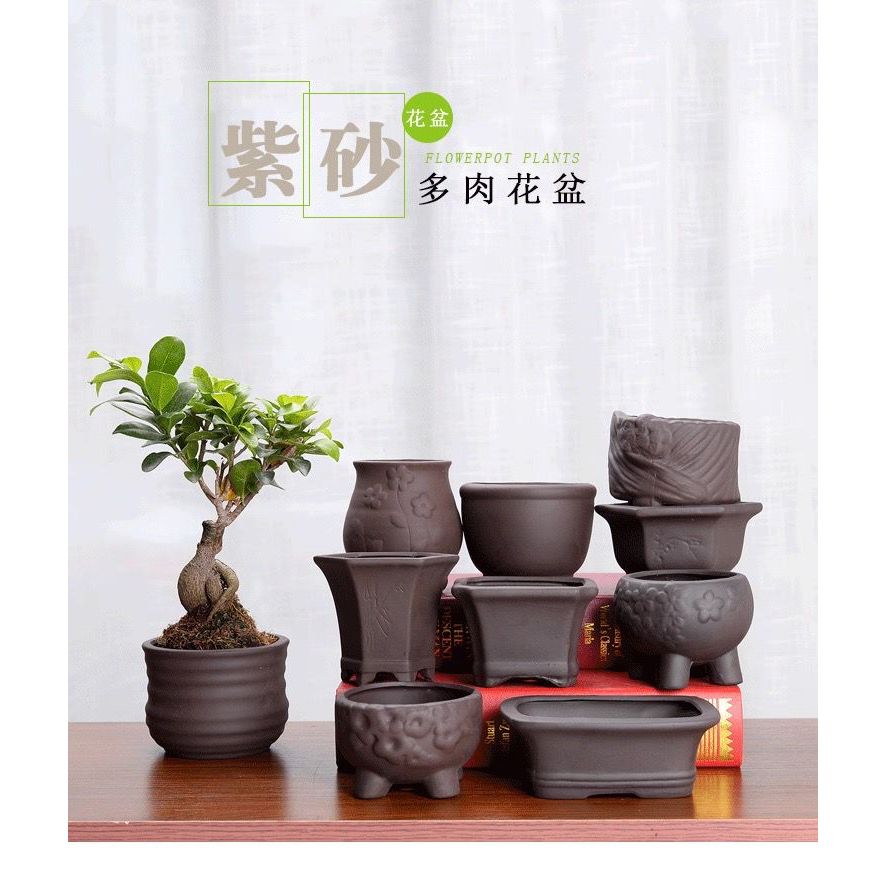 👍💯 Bonsai Pot Small Size. Pasu Bonsai Kecil. //MULTI SHAPE//Good ...