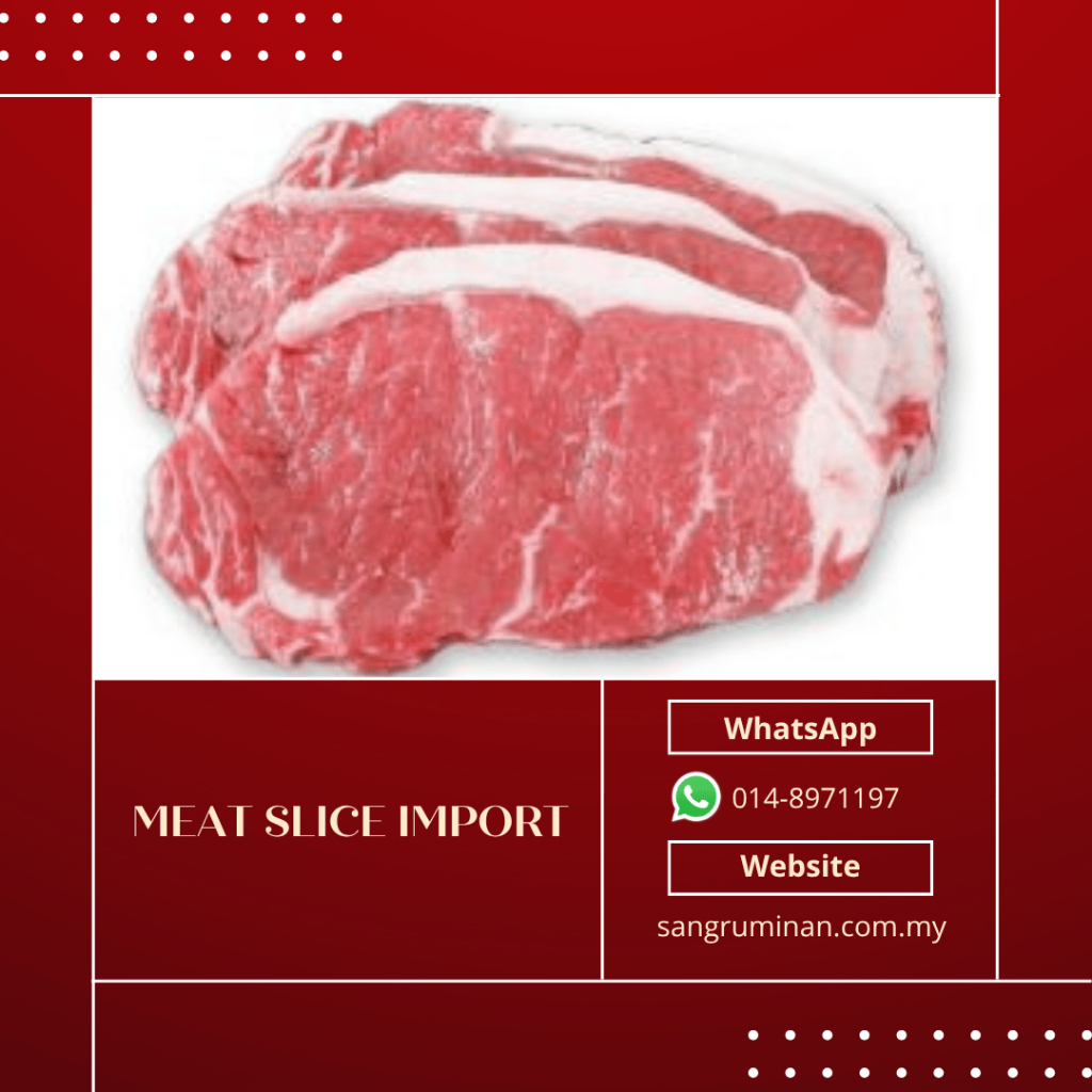 Slice Beef Meat (Import) - 300 G | Shopee Malaysia