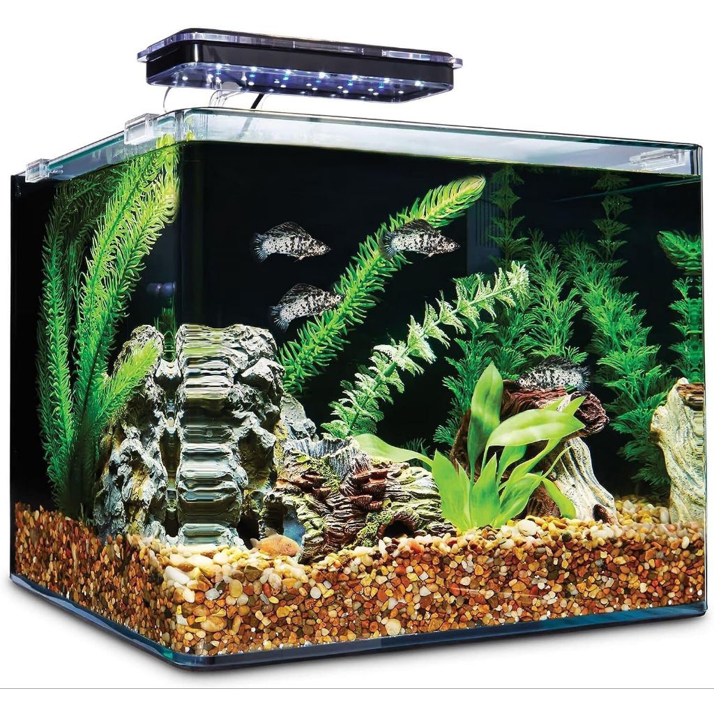 360 ° panoramic 4K fish tank curve edge aquarium | Shopee Malaysia