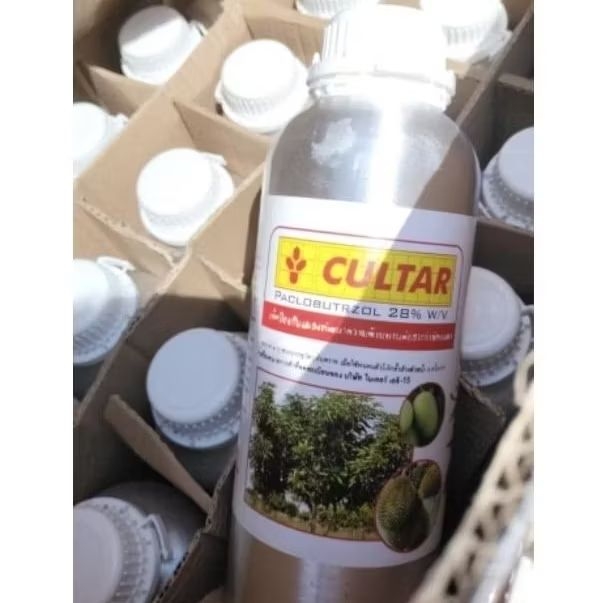 Thailand Cultar (1 Litre) Hormone Paclobutrazol 果树快大荷尔蒙刺激素适合各种果树 ...
