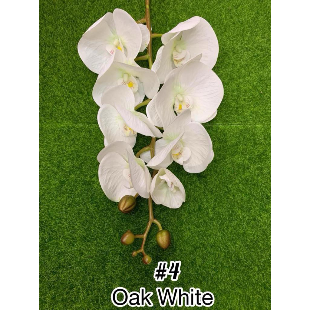 REAL TOUCH ORCHID/ SUPER PREMIUM ORCHID/ SOFT TOUCH ORCHID/ ORCHID ...
