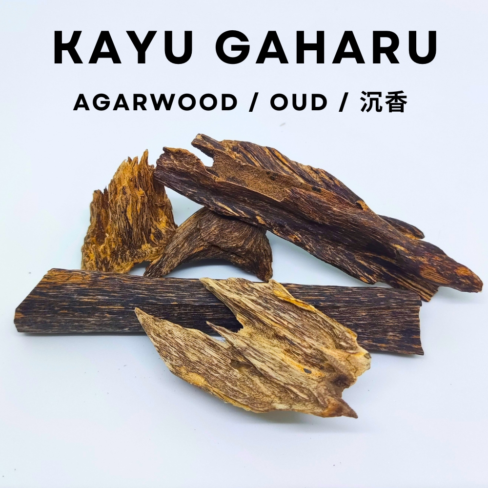 1g Kayu Gaharu Agarwood Oud 沉香 Bukhoor Wild & Cultivated Hutan & Ladang ...