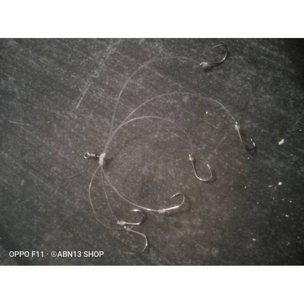 Mata Kail Boom atau Rambai - Ikan Lampan Sungai @ Loban Laut | Shopee ...