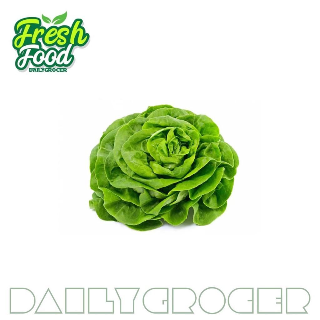 fresh lettuce - Prices and Promotions - Jun 2026 | Shopee Malaysia