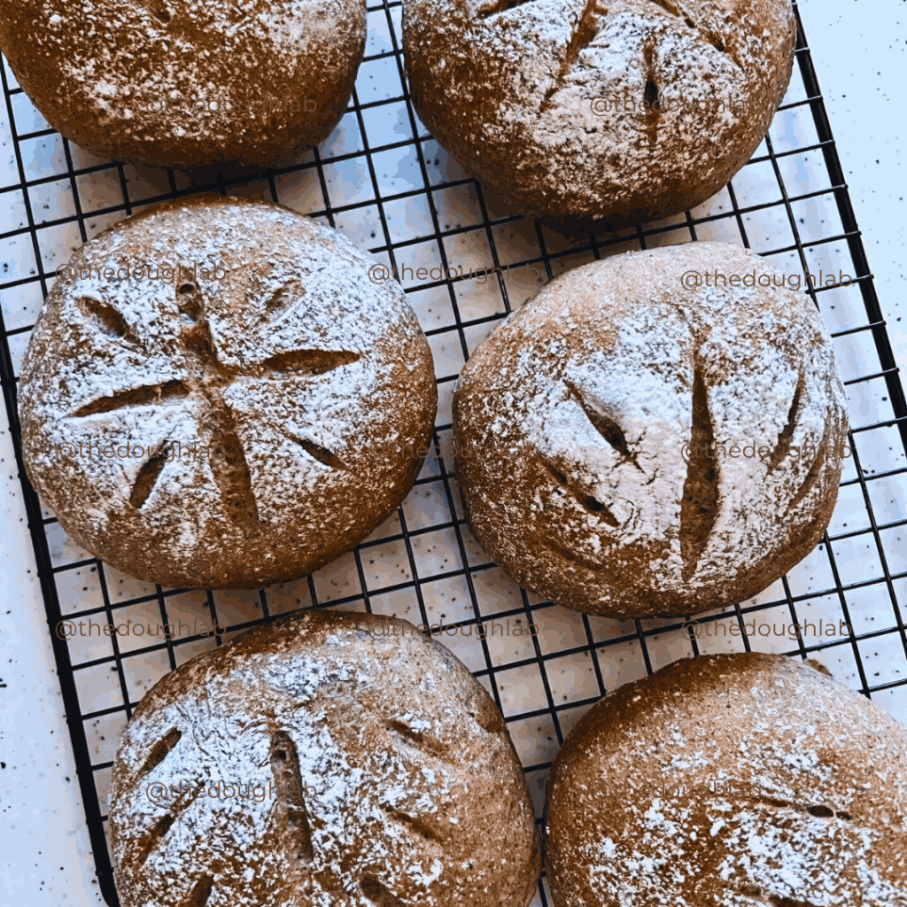 (6pcs) Dark Choco Artisan Bread (6粒) 黑巧奶酥软欧包 - 低糖低卡 Low Sugar Low ...