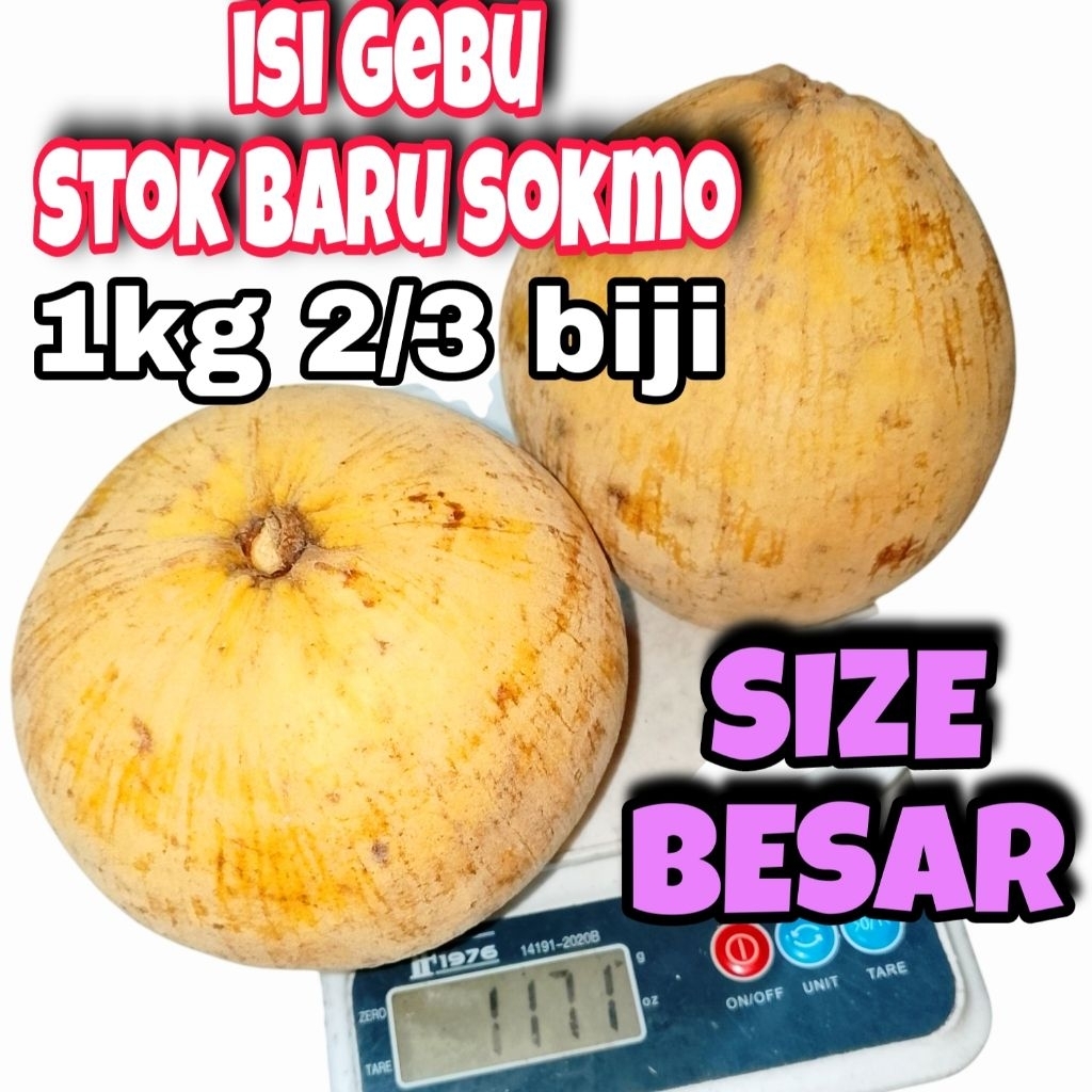 BUAH SETOI bakok GRED A/ SENTOL stol 2/3 biji SIZE 930g - 1kg BESAR ...