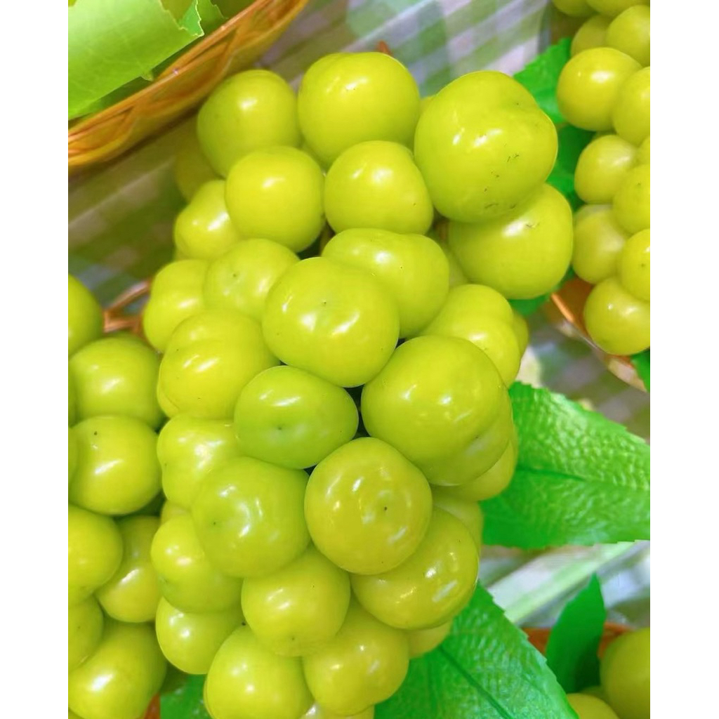China Shine Muscat Jumbo Size Super Sweet & Crispy & Juicy Seedless ...