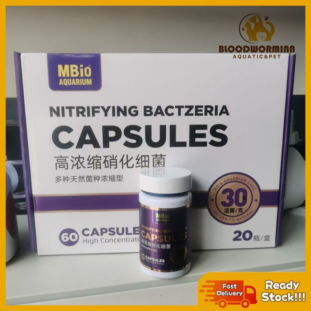 MBIO Nitrifying Bacteria Nitrobacter Nitrifier/Bakteria Nitrifikasi for ...