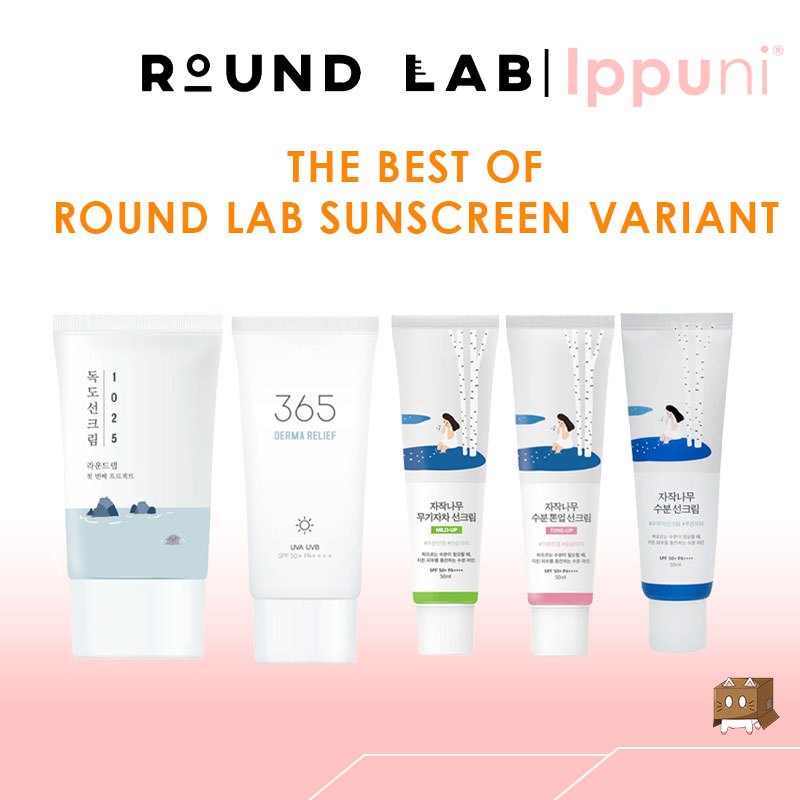 ROUND LAB Sunscreen Collection Birch Moisturizing Mild-Up/Tone-Up/Dokdo ...