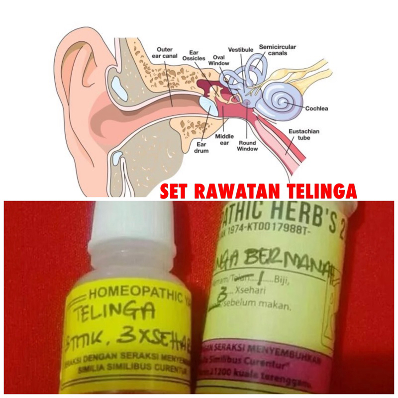RAWATAN TELINGA|TELINGA BERNANAH|SARAF DAN GEGENDANG TELINGA | Shopee ...