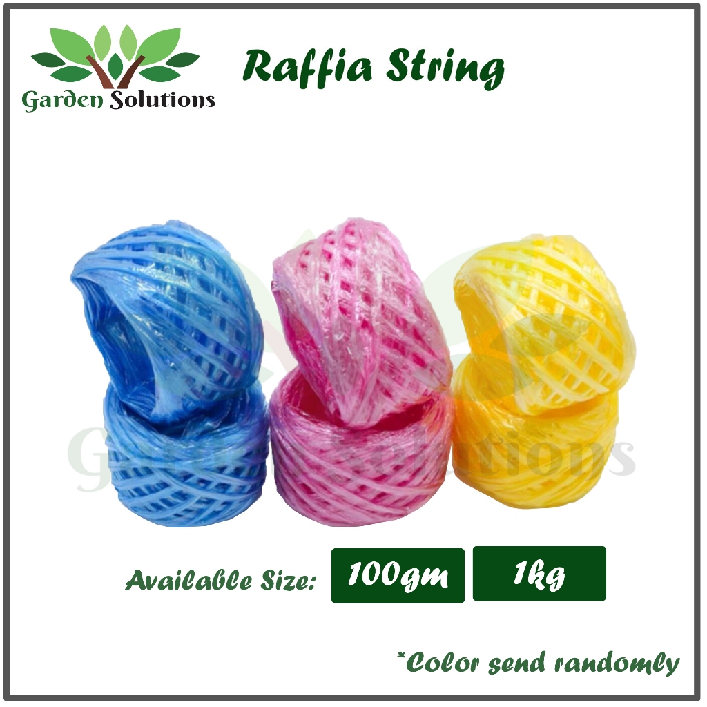 Raffia String 100gm/1kg Random Colour Tali Rafia | Shopee Malaysia