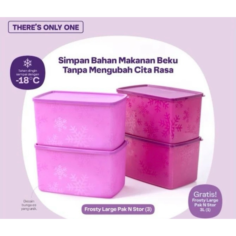 Tupperware frosty large pak N stor 2.8L (1pc) | Shopee Malaysia