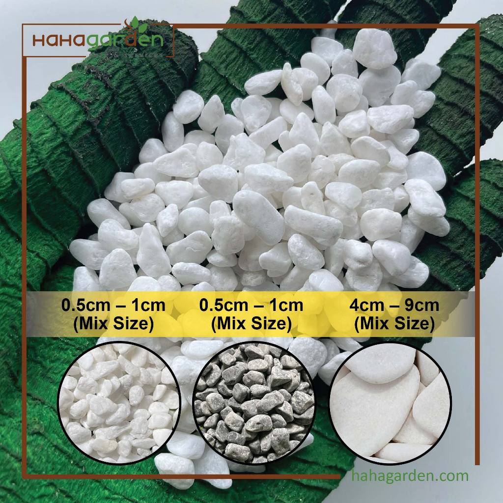 Flat White Pebble Stones/Batu Hiasan Putih Lebar/White/Black Pebble ...