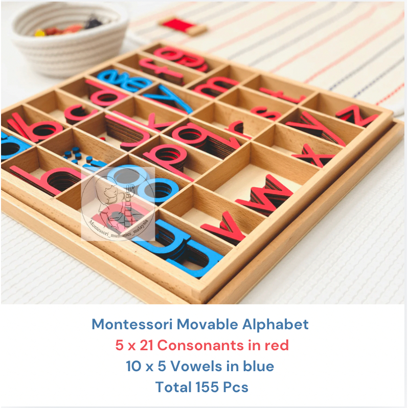 Montessori Wooden Movable Alphabet with Tray (phonics/alphabet/english ...