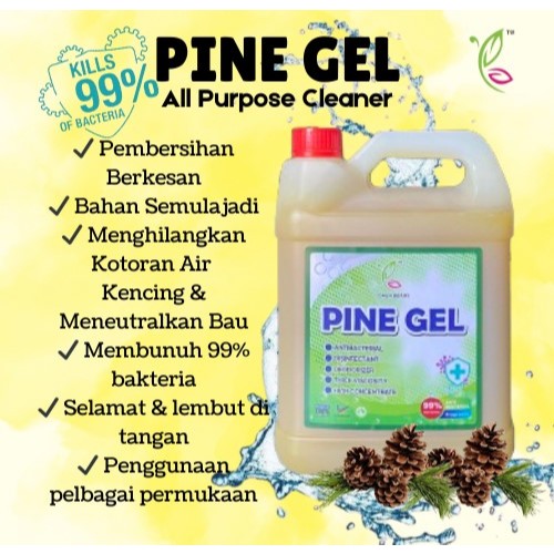 Sabun Pine gel disinfectant pencuci lantai 4L for All purpose Powerful ...