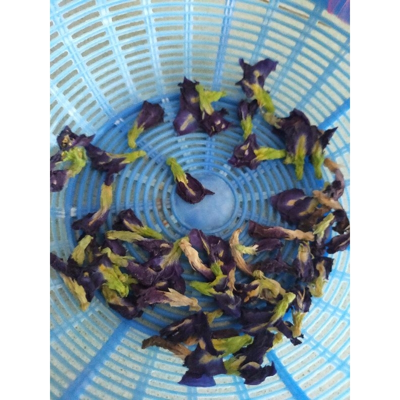 Bunga Telang Kering / Dried Butterfly Pea Flower / 蓝花蝶豆花 / 10pcs ...