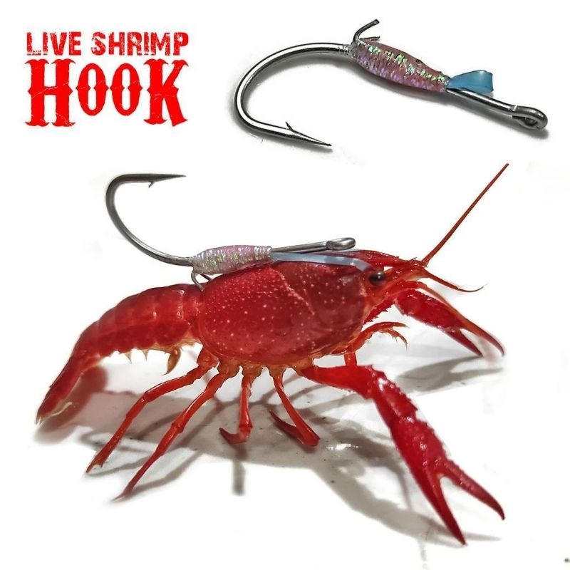 [BIG] LIVE SHRIMP HOOK (1pcs) saiz #3/0 | Shopee Malaysia