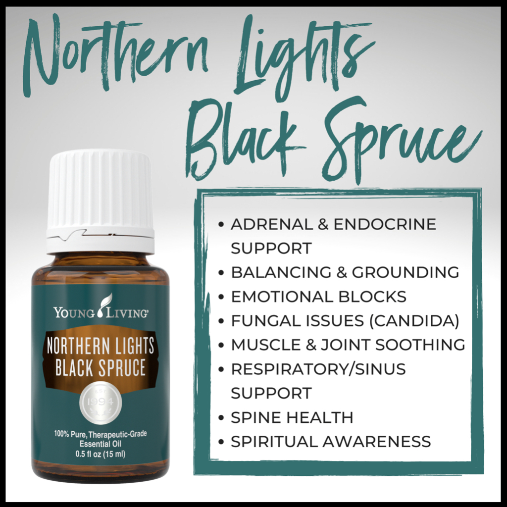 ORIGINAL YOUNG LIVINGS YL YLEO Northern Lights Black Spruce Essential Oil Single 15ml Meditation Massage Refreshing Shopee Malaysia