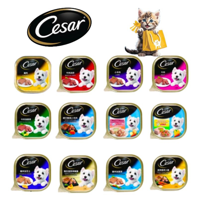 Cesar Can Wet Dog Food 100g | Shopee Malaysia