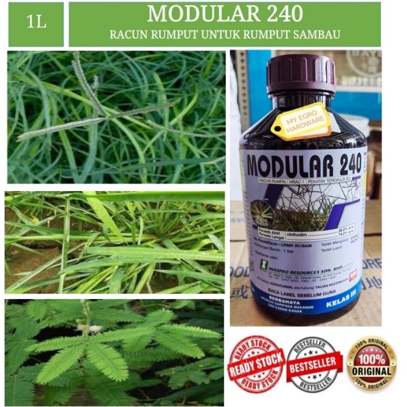 ＃RACUN RUMPAI＃ MODULAR 240 *SPECIAL UNTUK RUMPUT SAMBAU* (1L) | Shopee ...
