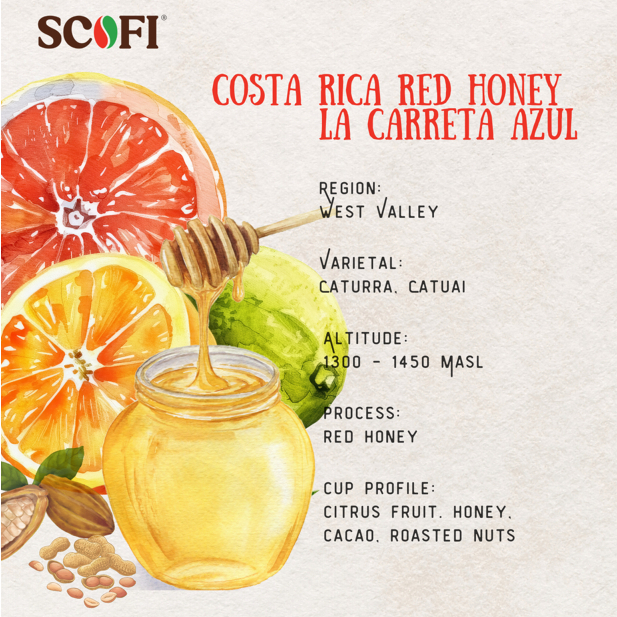 🌿1 KG Raw Arabica Coffee Beans: Costa Rica Red Honey La Carreta Azul ...
